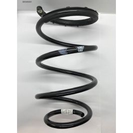 MG6 Front spring (Petrol) - Brown and Gammons