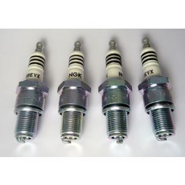 SPARK PLUG SET OF 4 - Brown and Gammons